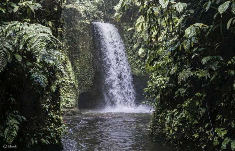 Cretya Ubud Infinity Pool,Hidden Waterfall, Temple &Lunch - Who Should Consider This Tour?
