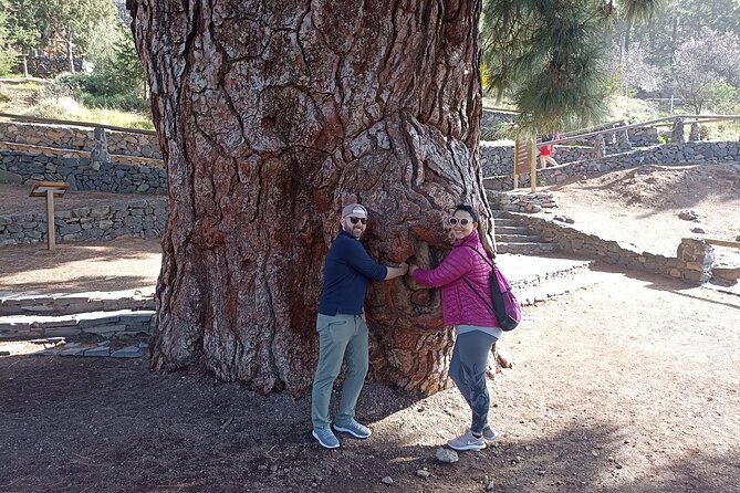 Custom Private Tenerife Volcano Car Tour - Frequently Asked Questions