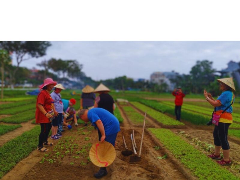 Da Nang Chef: Dive into Culture & Master Authentic Recipes - Who should consider this experience?