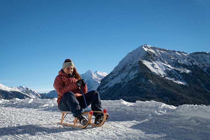 Day Sledding in Interlaken - Final Thoughts