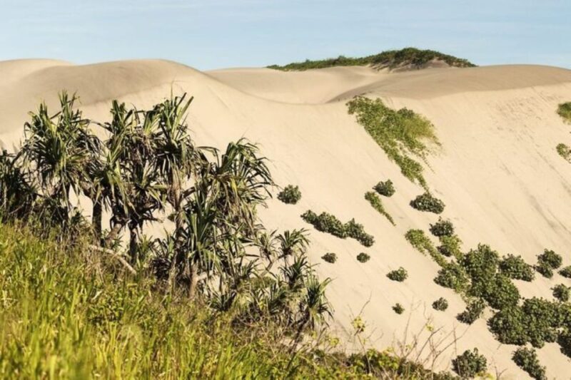 Discover Fijian Culture and Reptiles - FAQs