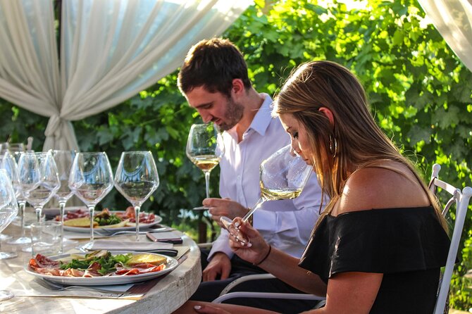 Discover San Gimignano from Livorno - Who This Tour Is Best For