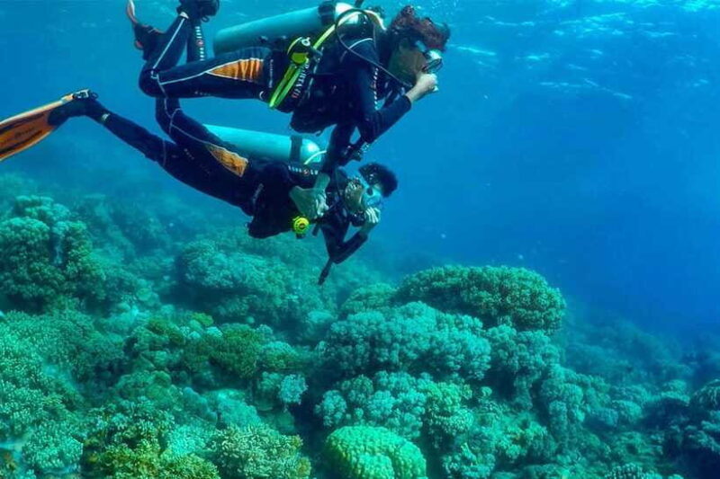 Discover Scuba: PADI Intro Dive in Dauin - FAQ
