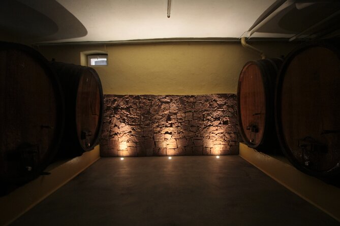 Discovery Vineyard - The Full Itinerary Breakdown