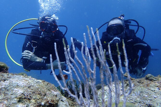 Diving baptism in the Montgrí Natural Park - Who Would Love This Experience