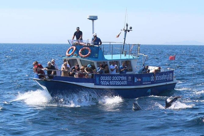 Dolphin Watching in Gibraltar Dolphin Safari V.I.P - FAQ