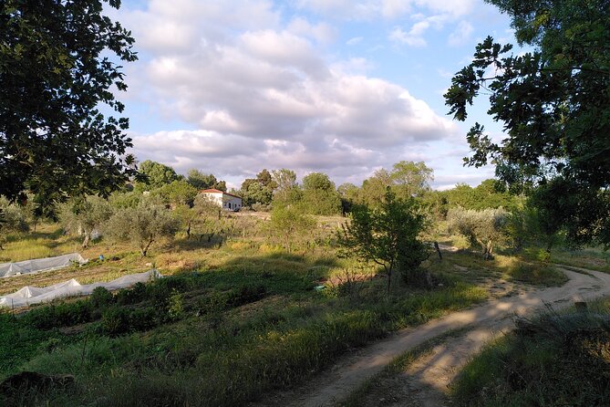 Educational visit of a Certified Organic Micro Farm in Trancoso - Introduction