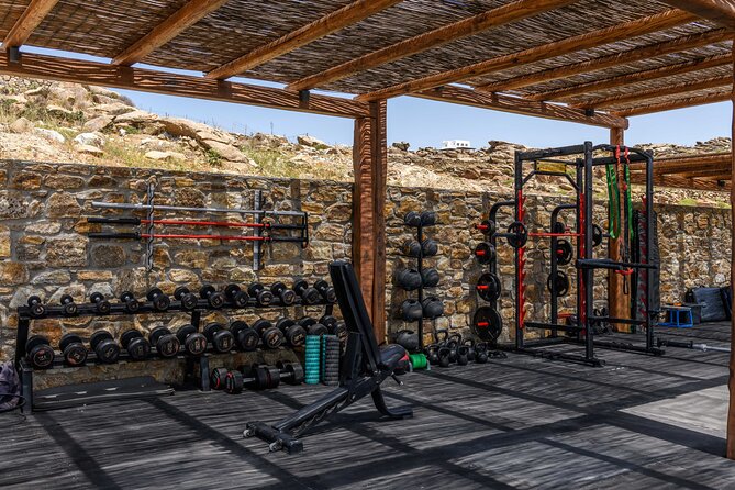 Exclusive Wellness Day Experience in Mykonos - The Day’s Breakdown: What to Expect