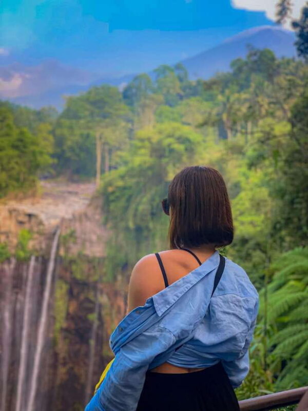 Explore Java in 4 Days: Tumpak Sewu, Bromo & Ijen Blue Fire - Who Should Consider This Tour?