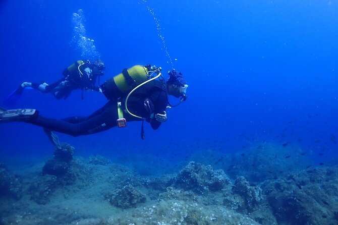 Explore World's Largest Plane Wreck by Scuba Diving in Kusadasi - Practical Tips for Travelers