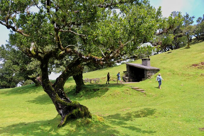 Exploring new Northwest frontiers: Beyond Madeira in 4x4 tour - Who Would Enjoy This Tour?