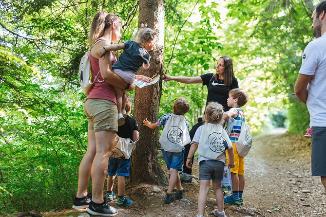 Family Adventure in Bled - Enchanted Forest theme park - Practical Tips for Visitors