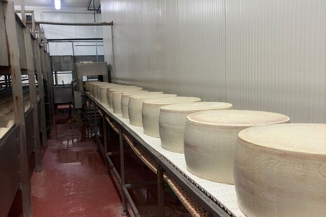Ferrari, Parmesan and Balsamic Day Tour from Bologna - Frequently Asked Questions