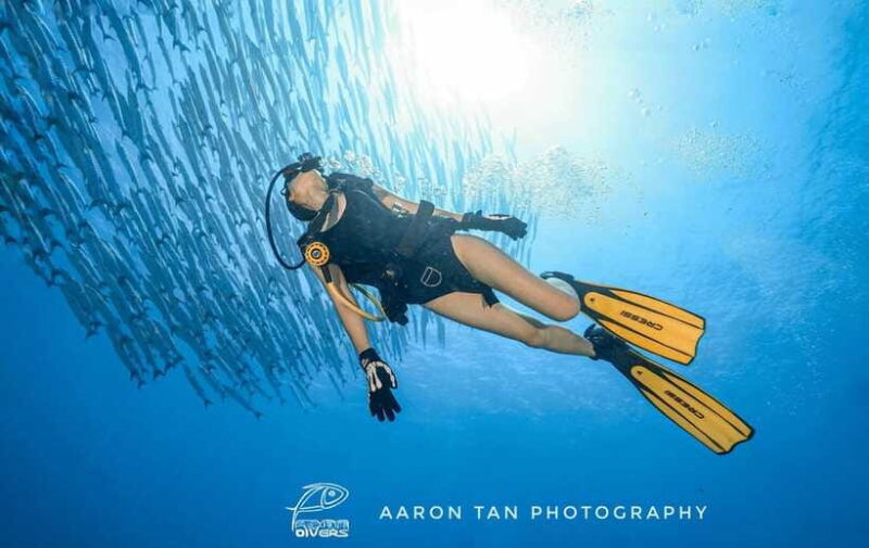 Fisheye Divers: Advanced Open Water Course - The Sum Up: Who Should Consider This