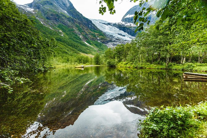 Fjord & Glacier Tour - From VOSS - The Sum Up
