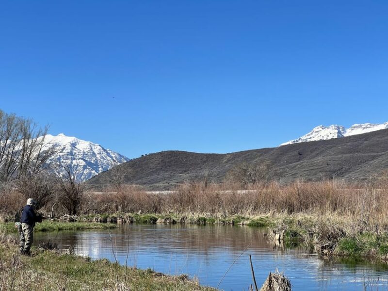 Fly Fish Utah Blue Ribbon Trout Waters - Practical Tips for Participants