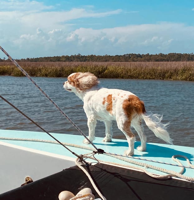 Folly Beach: Private Daytime or Sunset Sail, cooler provided - Authentic Reviews and Feedback