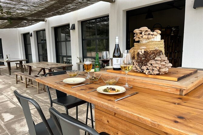 Food experience in mushroom cultivation (tour not included) - Who would this experience suit?