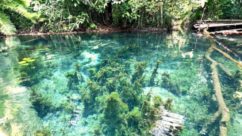 From Ao Nang: Kayaking at Klong Rud with Hotel Transfers - Authentic Experiences from Fellow Travelers