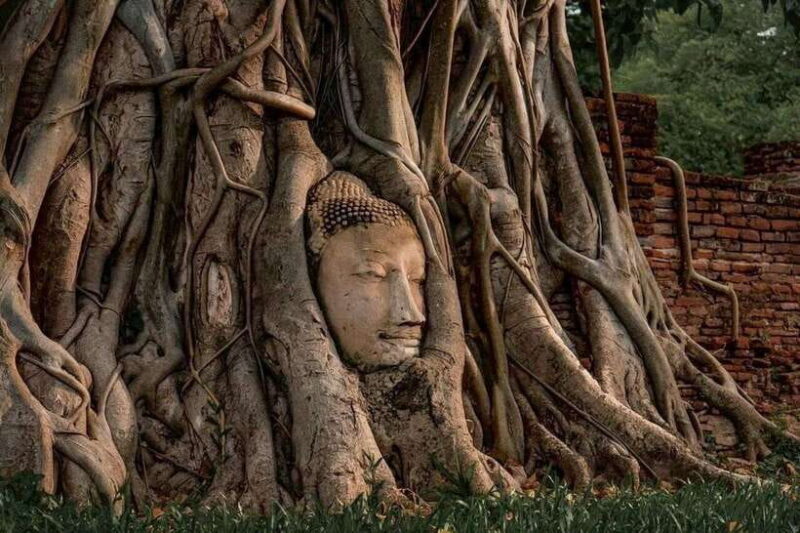From Bangkok: Private Guided Ayutthaya Day Tour - FAQ