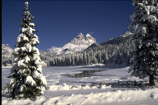 From Bolzano - Snowmobile + Sledding and The Great Dolomites Road Private Tour - Why This Tour Might Be Perfect for You