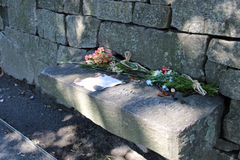 From Boston: Salem & Hammond Castle Semiprivate Day Trip - Authenticity and Value
