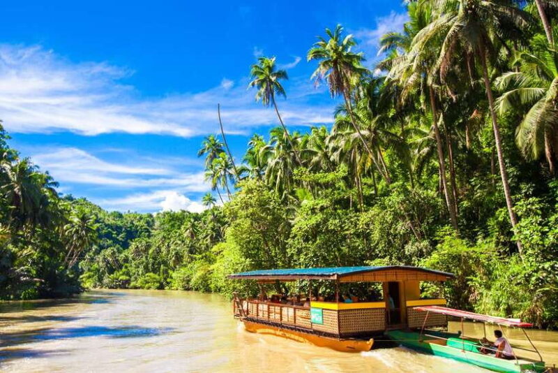 From Cebu: Day Trip to Bohol Highlights - FAQ