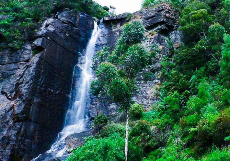 From Colombo: 2-Day Nuwara Eliya, Kandy, and Sigiriya Tour - FAQ