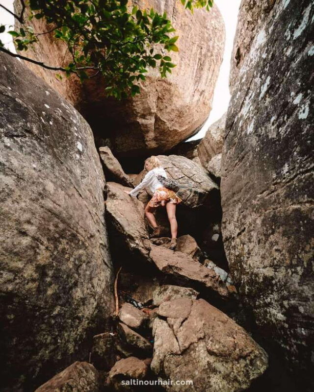 From Colombo: Dambulla and Pidurangala Rock climb Day Trip - Practical Tips for the Day