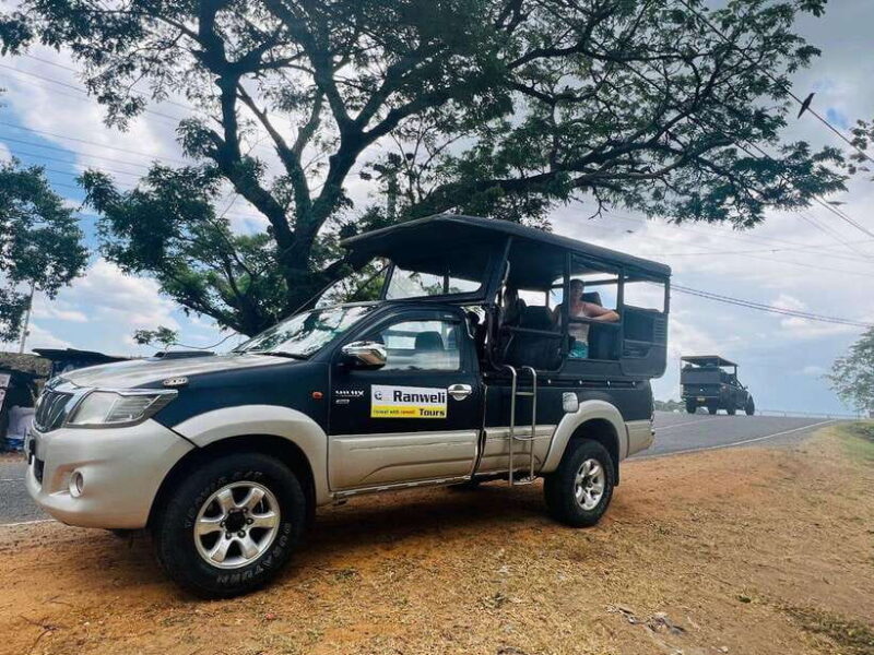 From Colombo/Negombo: 3-Day Tour to Sigiriya, Dambulla & - FAQs