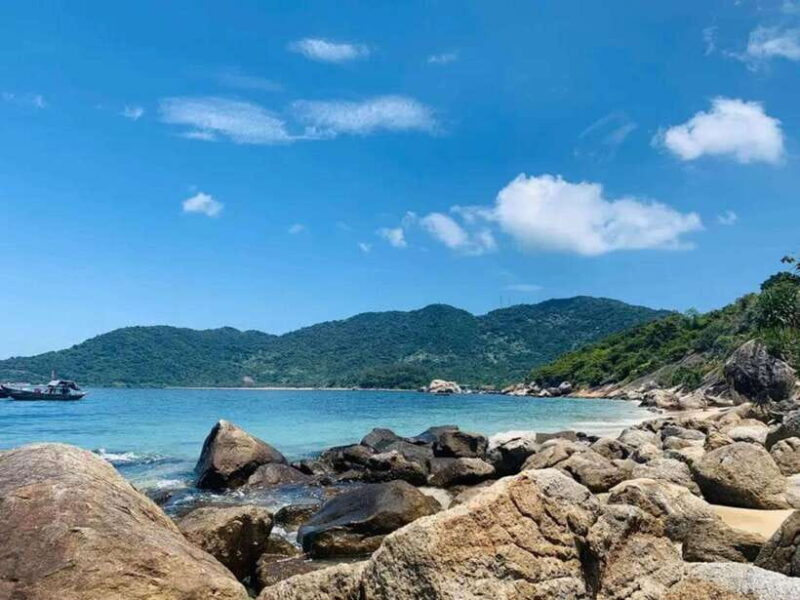 From Danang: Cham Island Diving, Snorkeling Explore the Sea - Final Thoughts
