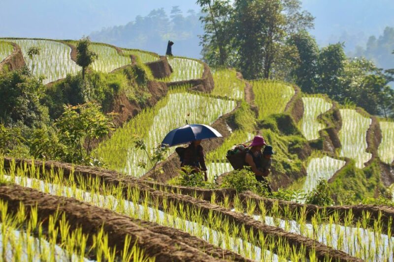 From Hanoi: 4-Day Panorama Of Ha Giang Loop Private Tour - Authentic Experiences and Cultural Encounters