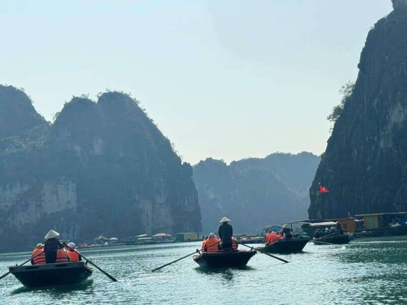 From Hanoi: Ha Long Bay Luxury Day Cruise by Catamaran - The Sum Up