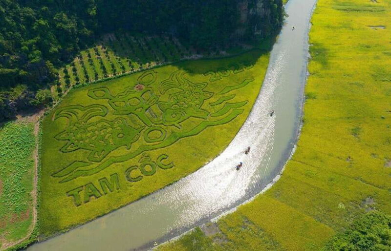 From Hanoi: Private Tour Ninh Binh- Hoa Lu, Tam Coc/Trang An - Final Thoughts: Who Is This Tour Best For?