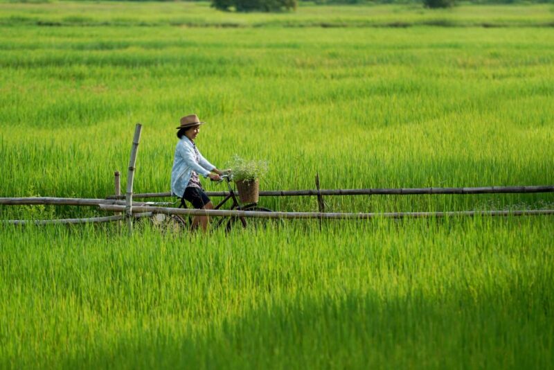 From HCM: Mekong Delta & Cai Rang Floating Market 2-Day Tour - Frequently Asked Questions