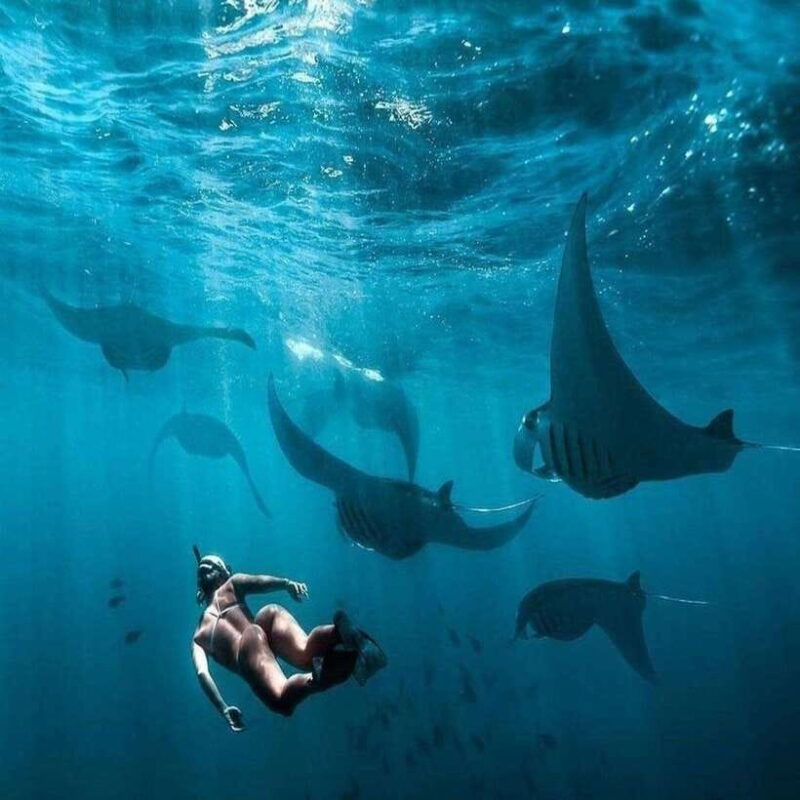 From Hotel to Nusa Penida Full day Tours - Timing and Pace
