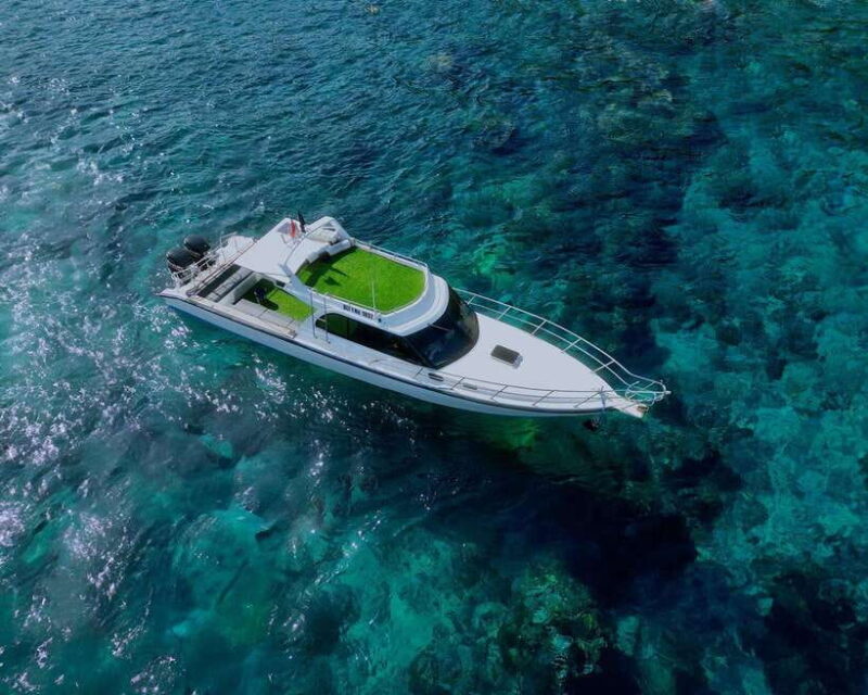 From Lembongan: Full Day Private Boat Snorkeling Nusa Penida - FAQ