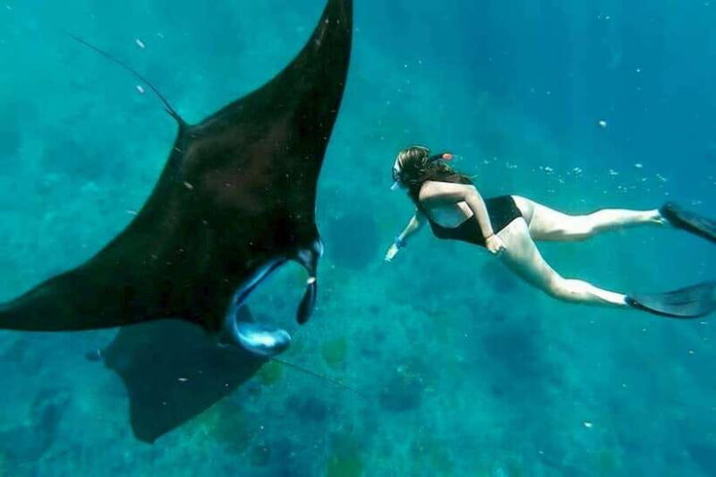 From Lembongan: Private Snorkeling Tour To Nusa Penida - Who Should Consider This Tour?