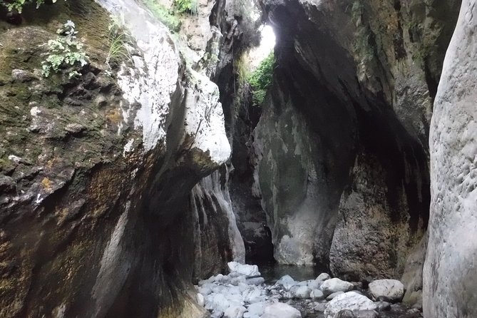 From Marbella: Canyoning Tour in Guadalmina Canyon - Who Will Love This Tour?