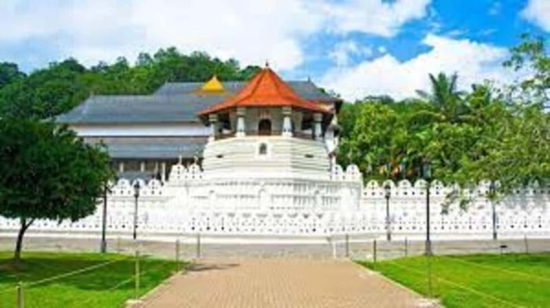From Negombo : Pinnawala & Tea Factory & Kandy Full Day Trip - Final Thoughts