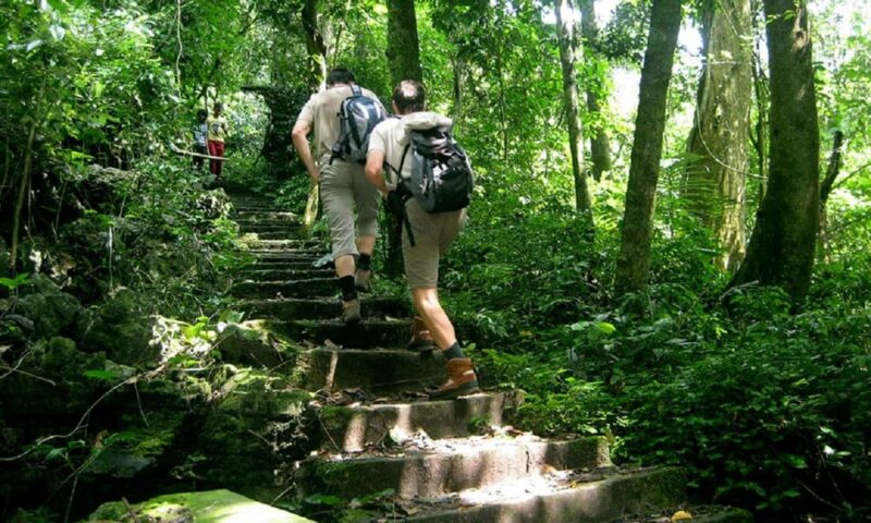 From Ninh Binh : Cuc Phuong National Park Full Day Trip - Final Thoughts