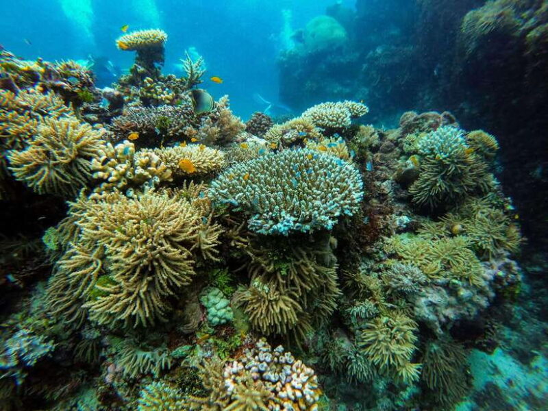 From Phi Phi: Half Day Longtail Boat Tour to Maya Bay - The Sum Up: Is This Tour Worth It?