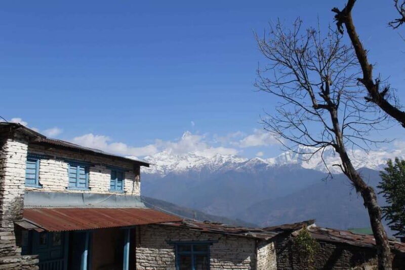 From Pokhara: Australian Camp and Dhampus Guided Day Hike - Who Should Consider This Tour