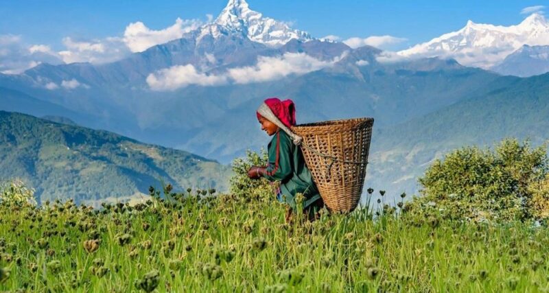 From Pokhara: Guided Tour to Sarangkot Sunrise with Day Hike - The Scenic Highlights Along the Trail