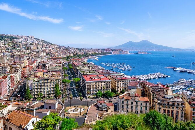 From Rome: Pompeii and Vesuvius Crater Experience with lunch - The Sum Up