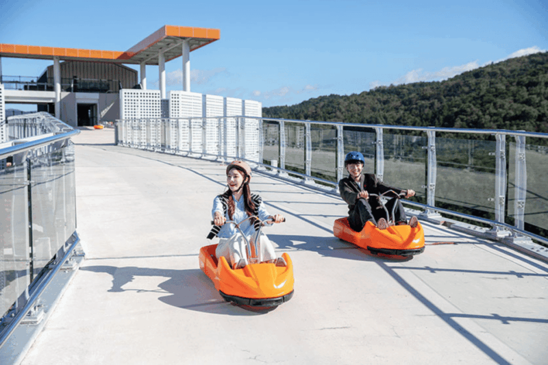 From Seoul: Alpaca Farm with Rail bike/ Luge Racing - Who Should Consider This Tour?