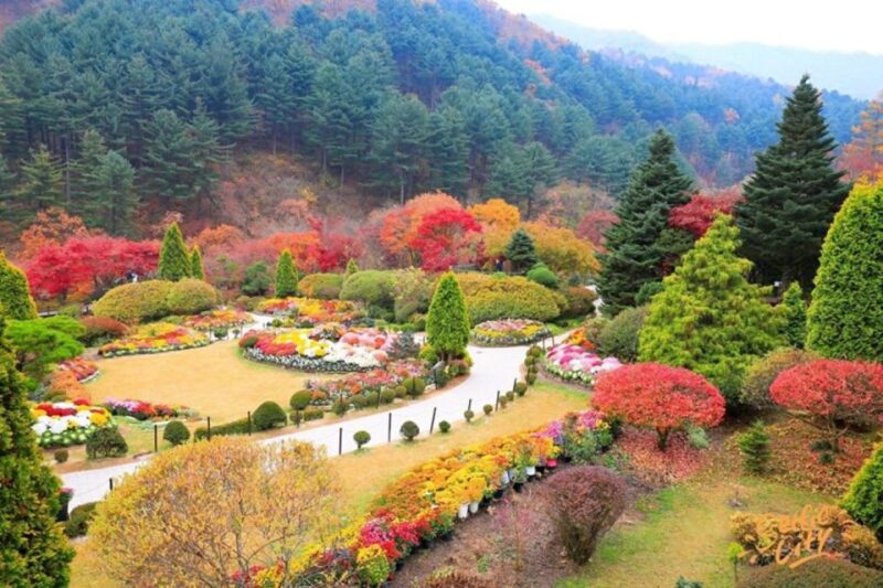 From Seoul: Nami Island, Korean Garden & Rail Bike Day Trip - Final Words