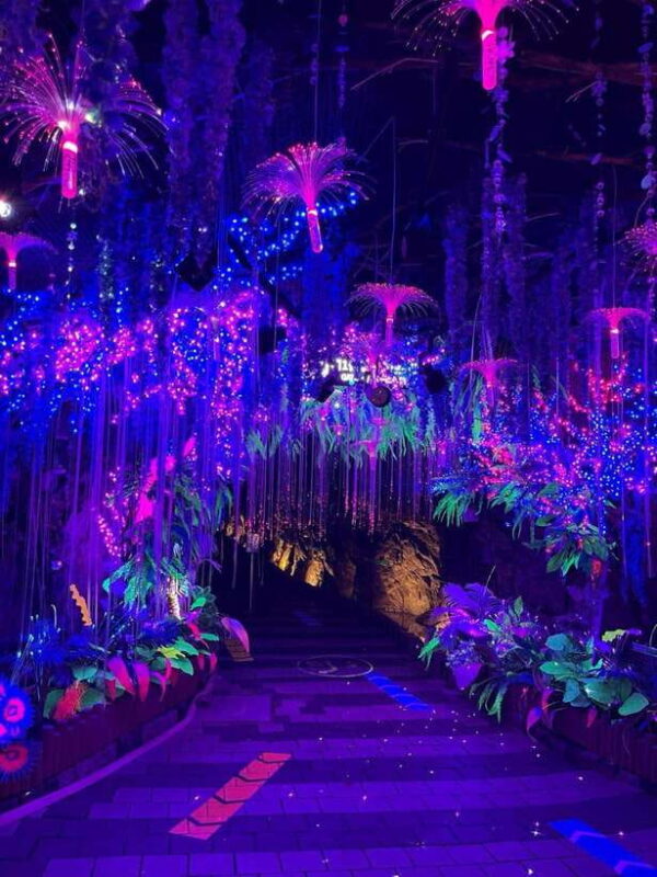 From Seoul: Starfield Library, Hwaseong , Gwangmyeong Cave - FAQs