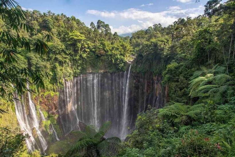 From Surabaya: 3-Day Bromo & Ijen Tour with Bali Transfer - The Sum Up