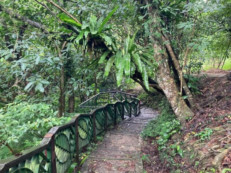 From Taipei: Pinglin Tea Culture and Maokong Guided Day Tour - Final Thoughts